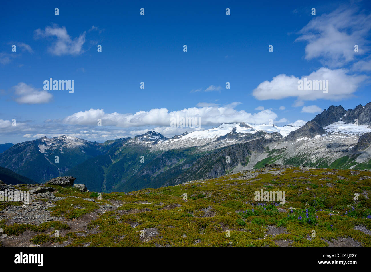 North Cascades Mountains Stretch Out Across Wilderness in summer Stock ...