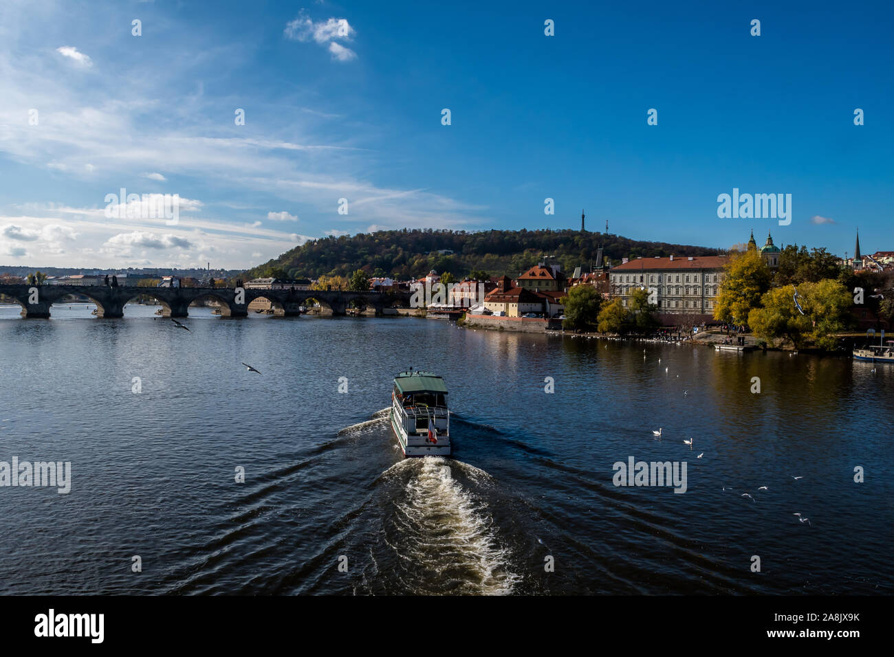 Charles Bridge Over Moldova River And Hradcany Castle In Prague In The Czech Republic Stock ...