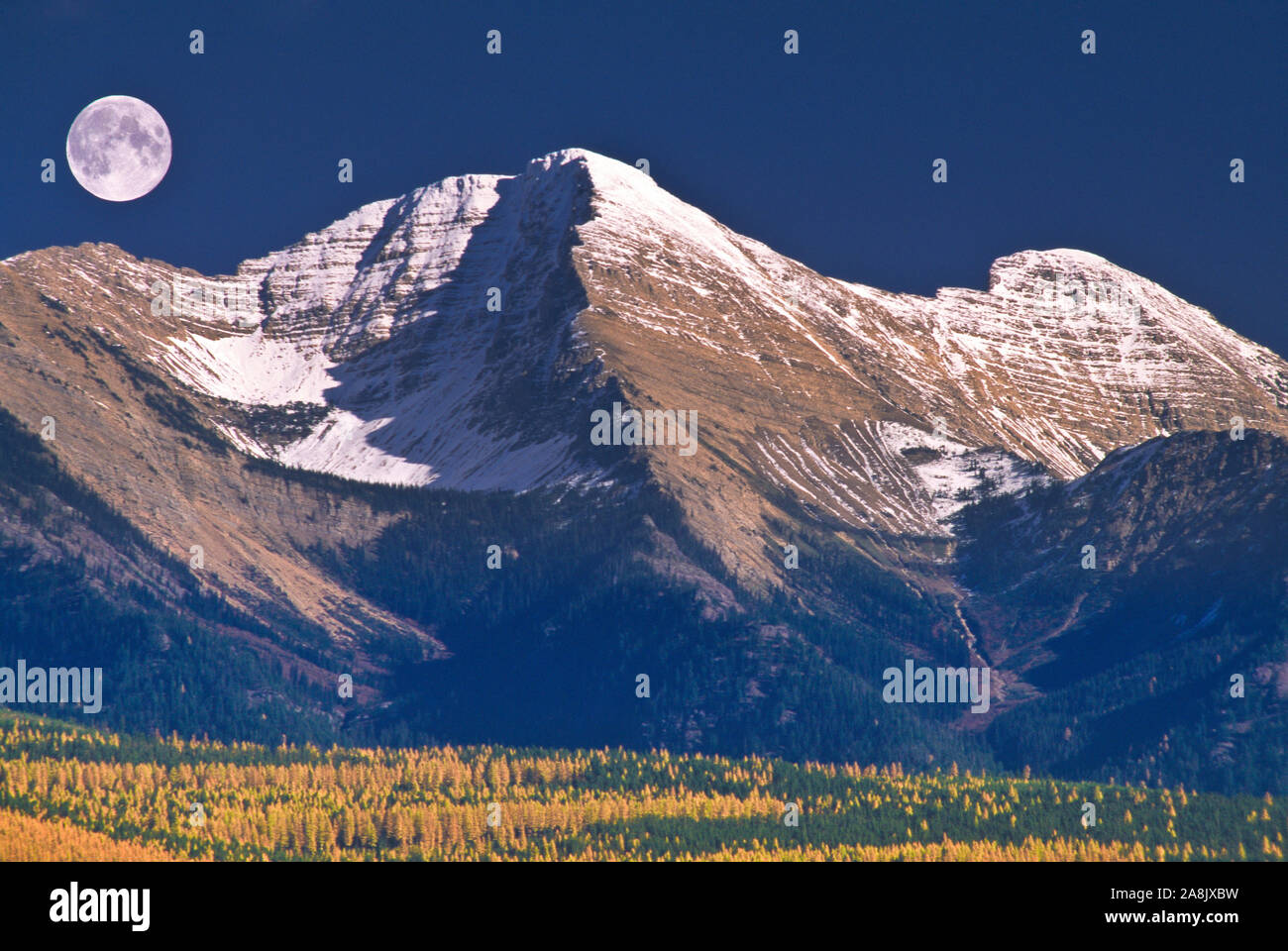 october full moon over mount grant in the flathead range near hungry ...
