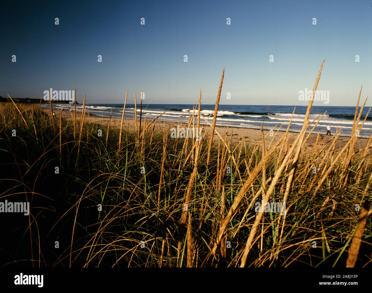 Scotch block hi-res stock photography and images - Alamy