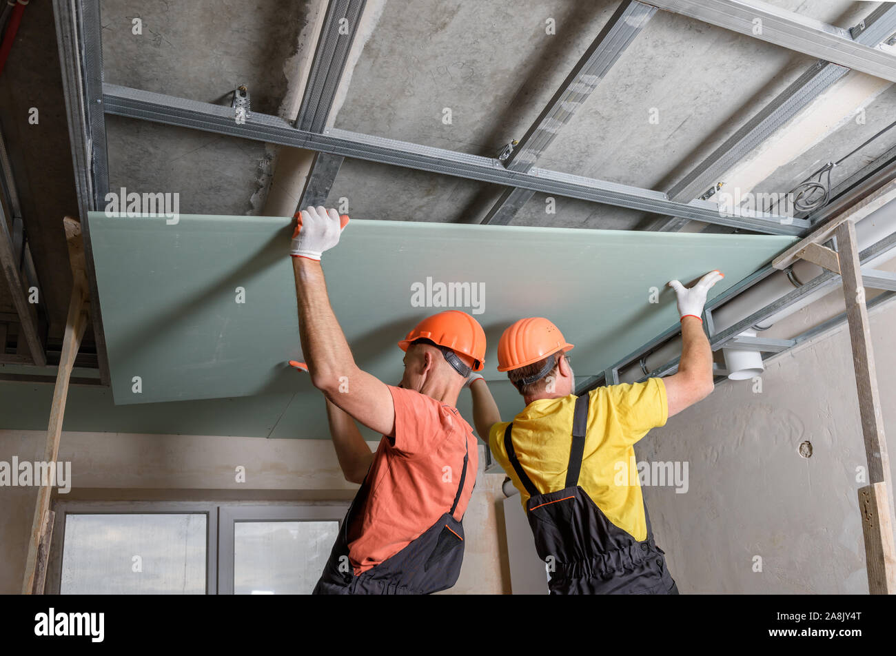 Workers are lifting plasterboard for further attaching to the ceiling ...