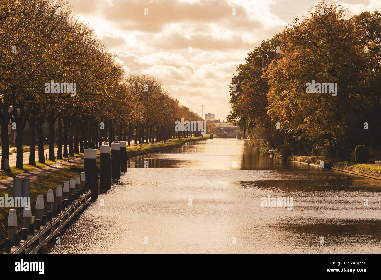 parks in autumn season colors of the november season mist Stock Photo ...