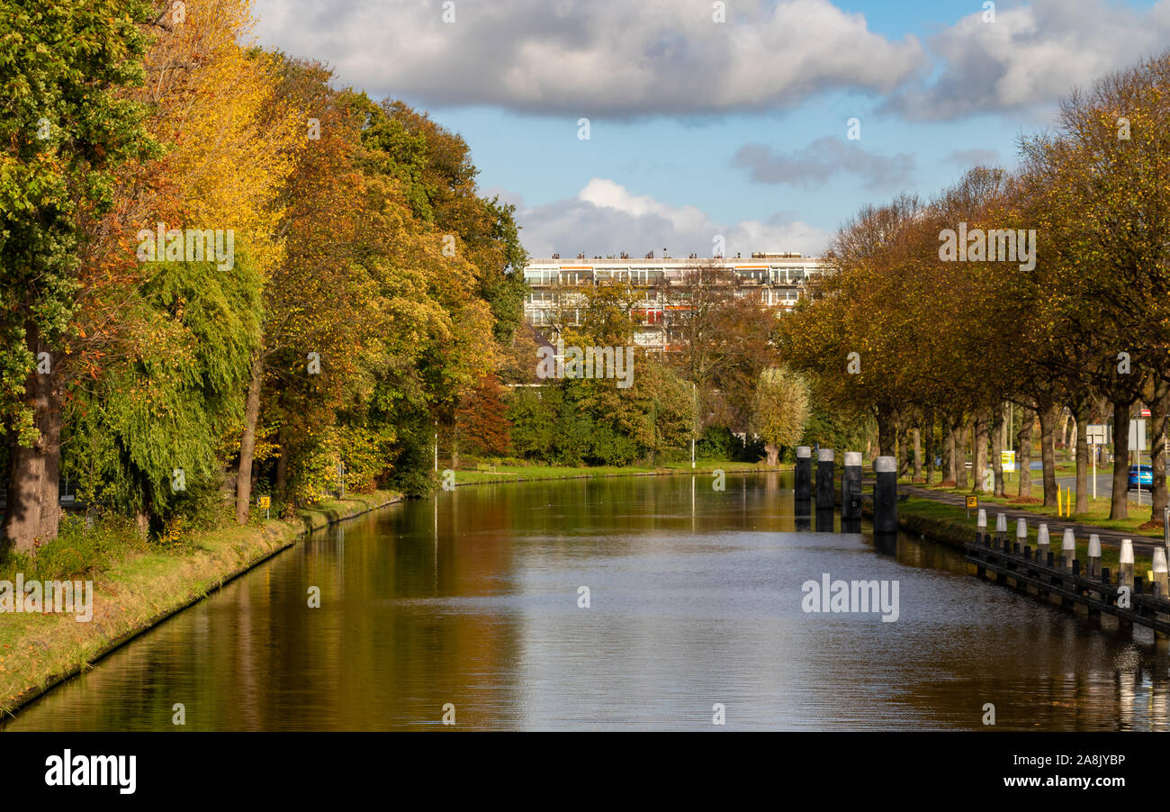 parks in autumn season colors of the november season mist Stock Photo ...