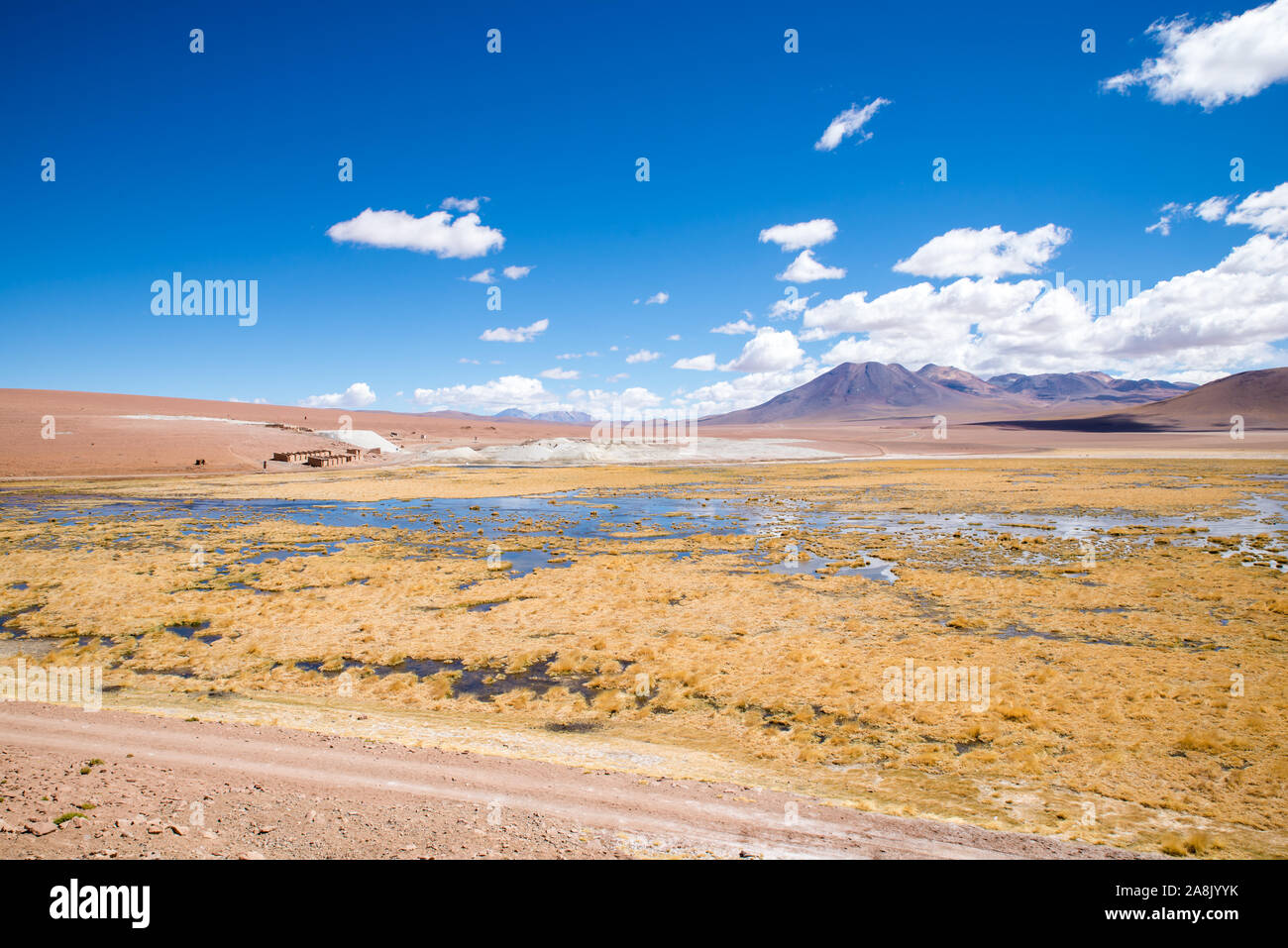 Rio Putana, San Pedro de Atacama Stock Photo - Alamy