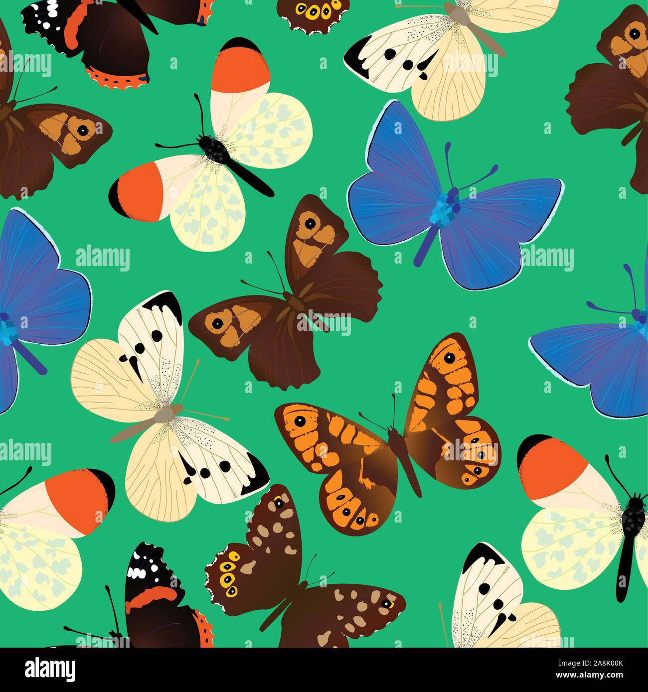 Most common butterflies Stock Vector Images - Alamy