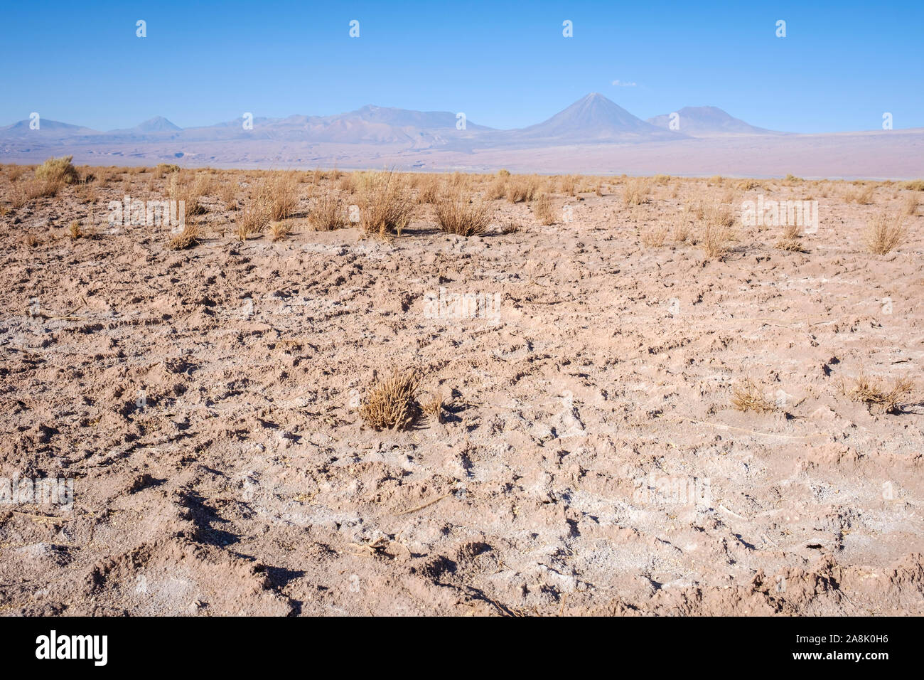 Atacama Desert landscape, San Pedro de Atacama, Chile Stock Photo - Alamy