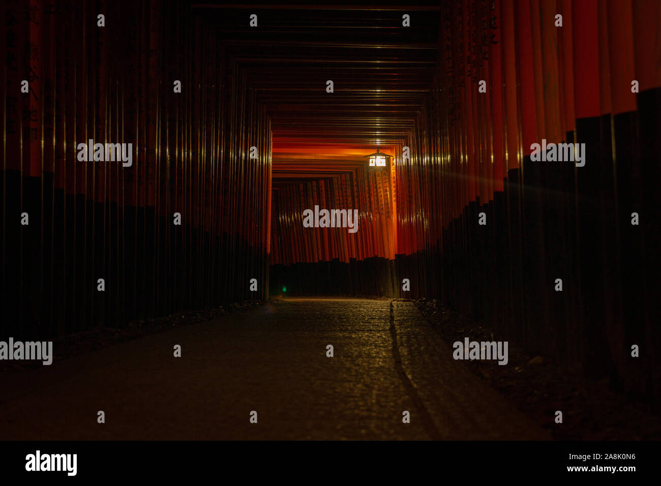 Red Torii gates in Fushimi Inari shrine in Kyoto, Japan at night Stock ...
