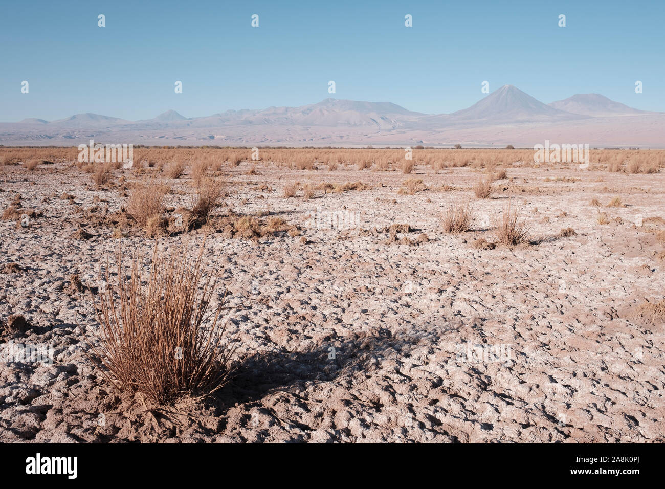 Atacama Desert landscape, San Pedro de Atacama, Chile Stock Photo - Alamy
