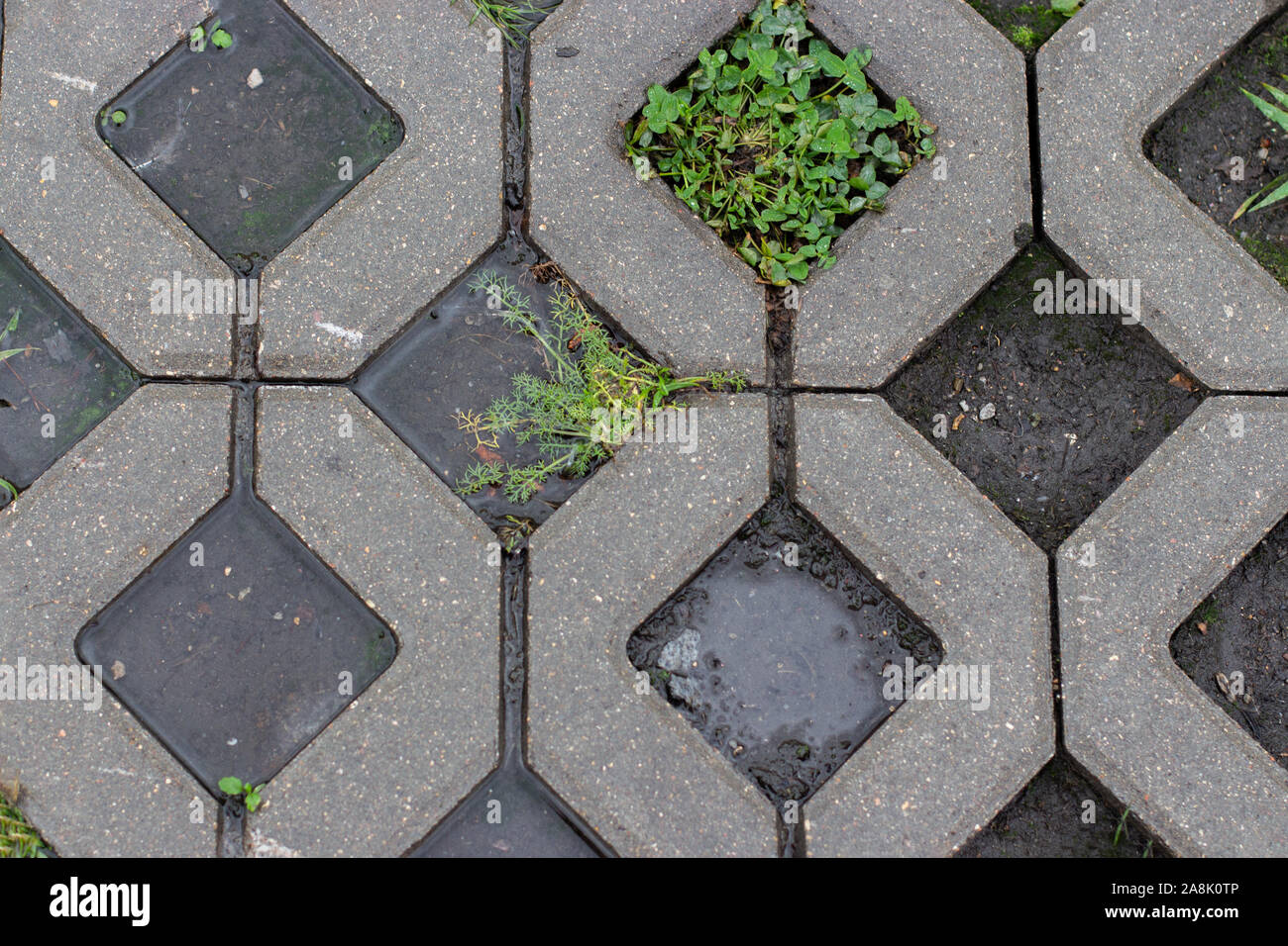 Texture, concrete asphalt cells of an eco-friendly city car parking ...