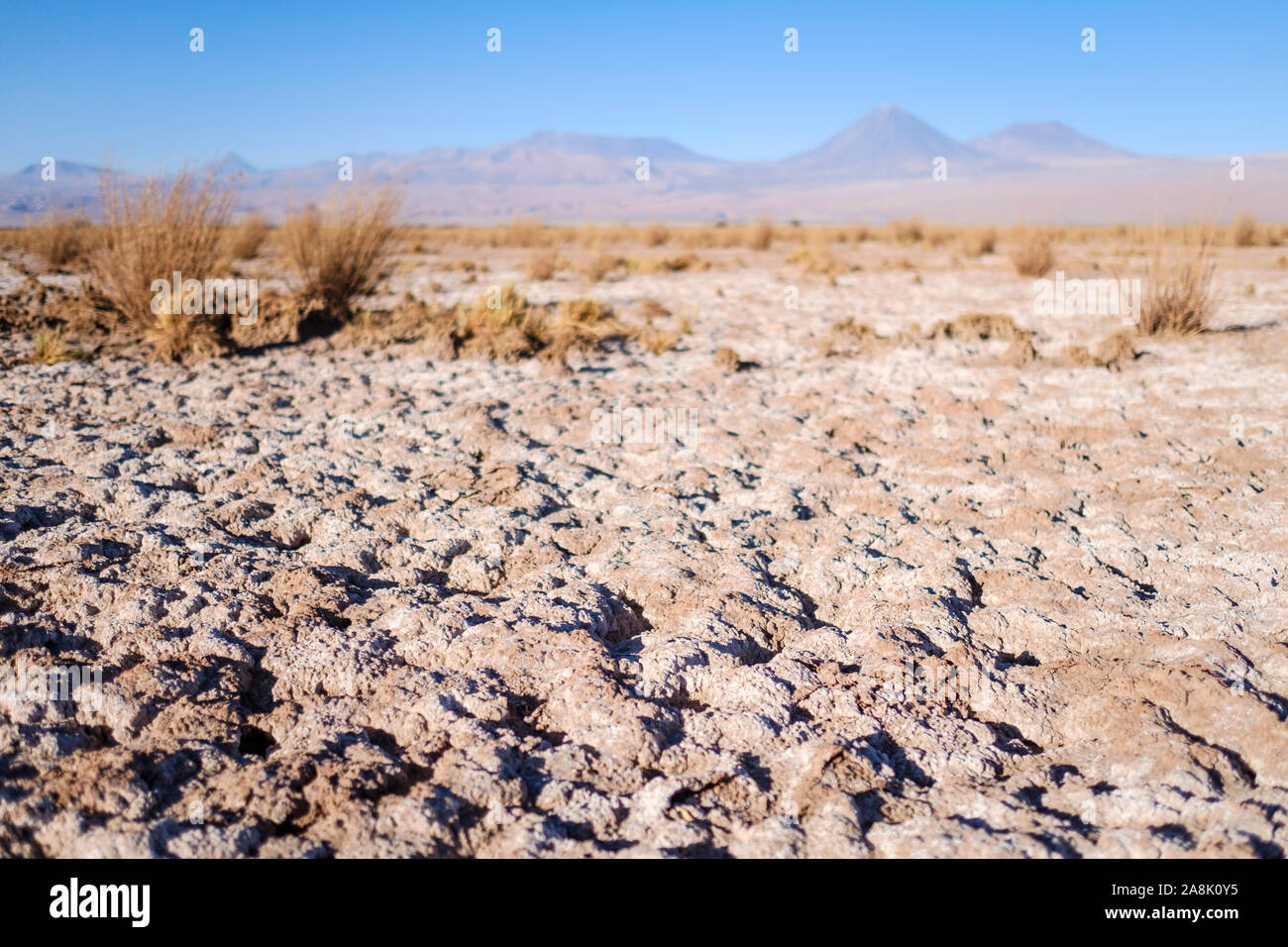 Atacama Desert landscape, San Pedro de Atacama, Chile Stock Photo - Alamy