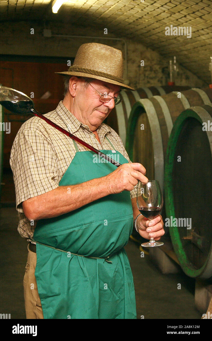 Ein Winzer im Weinkeller probiert einen Wein, MR: Yes Stock Photo - Alamy