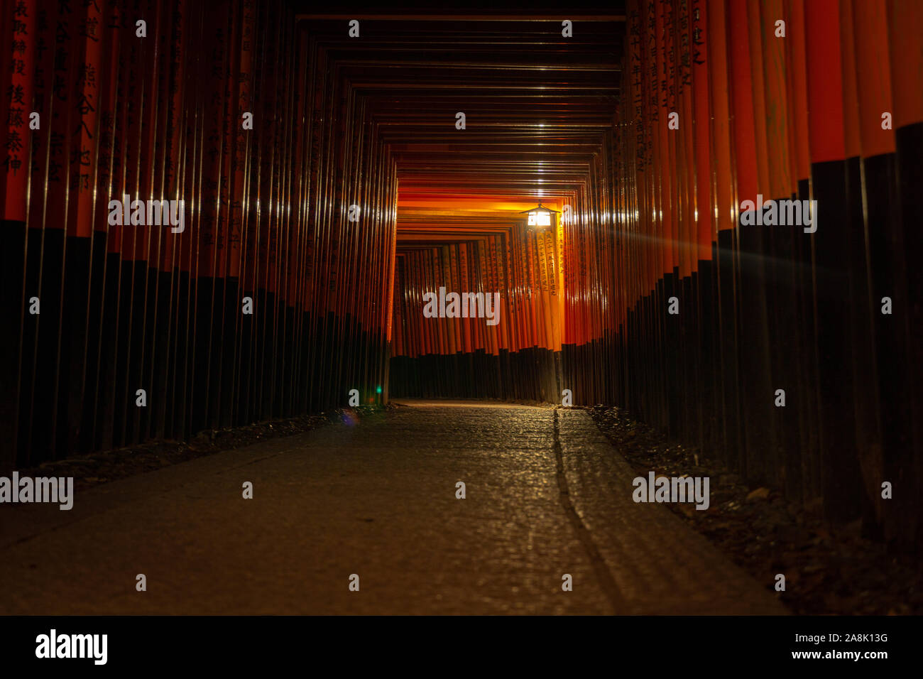 Red Torii gates in Fushimi Inari shrine in Kyoto, Japan at night Stock ...