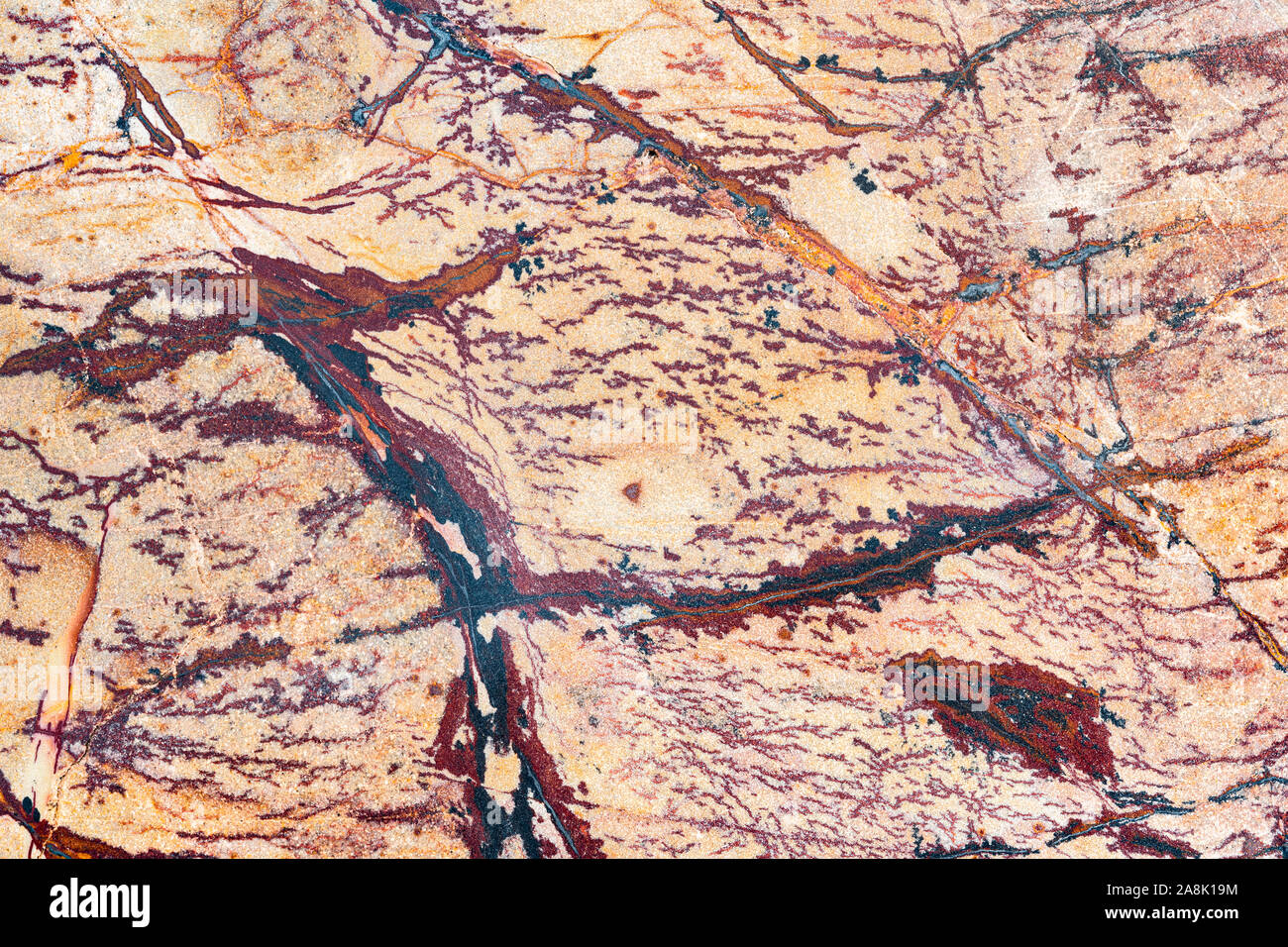 Cut and polished natural minerals, Courtesy of Joy & Co. rock store ...