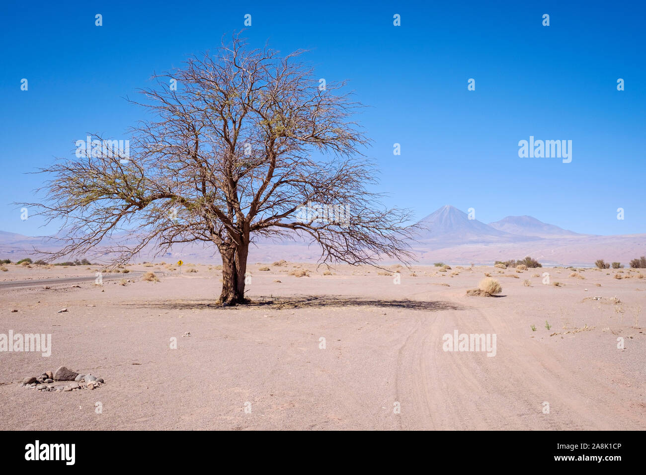 Atacama Desert landscape, San Pedro de Atacama, Chile Stock Photo - Alamy