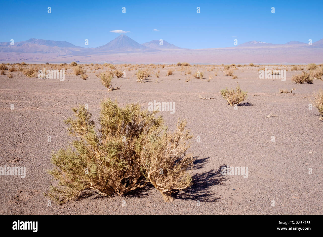 Atacama Desert landscape, San Pedro de Atacama, Chile Stock Photo - Alamy