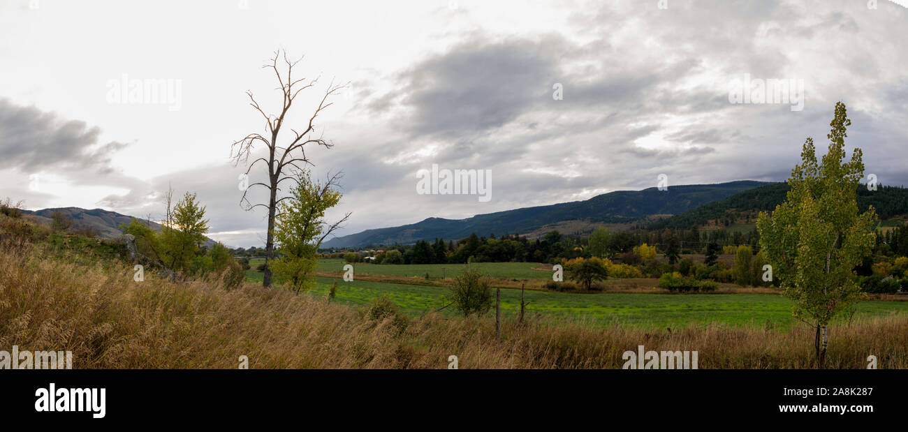 Coldstream british columbia hi-res stock photography and images - Alamy