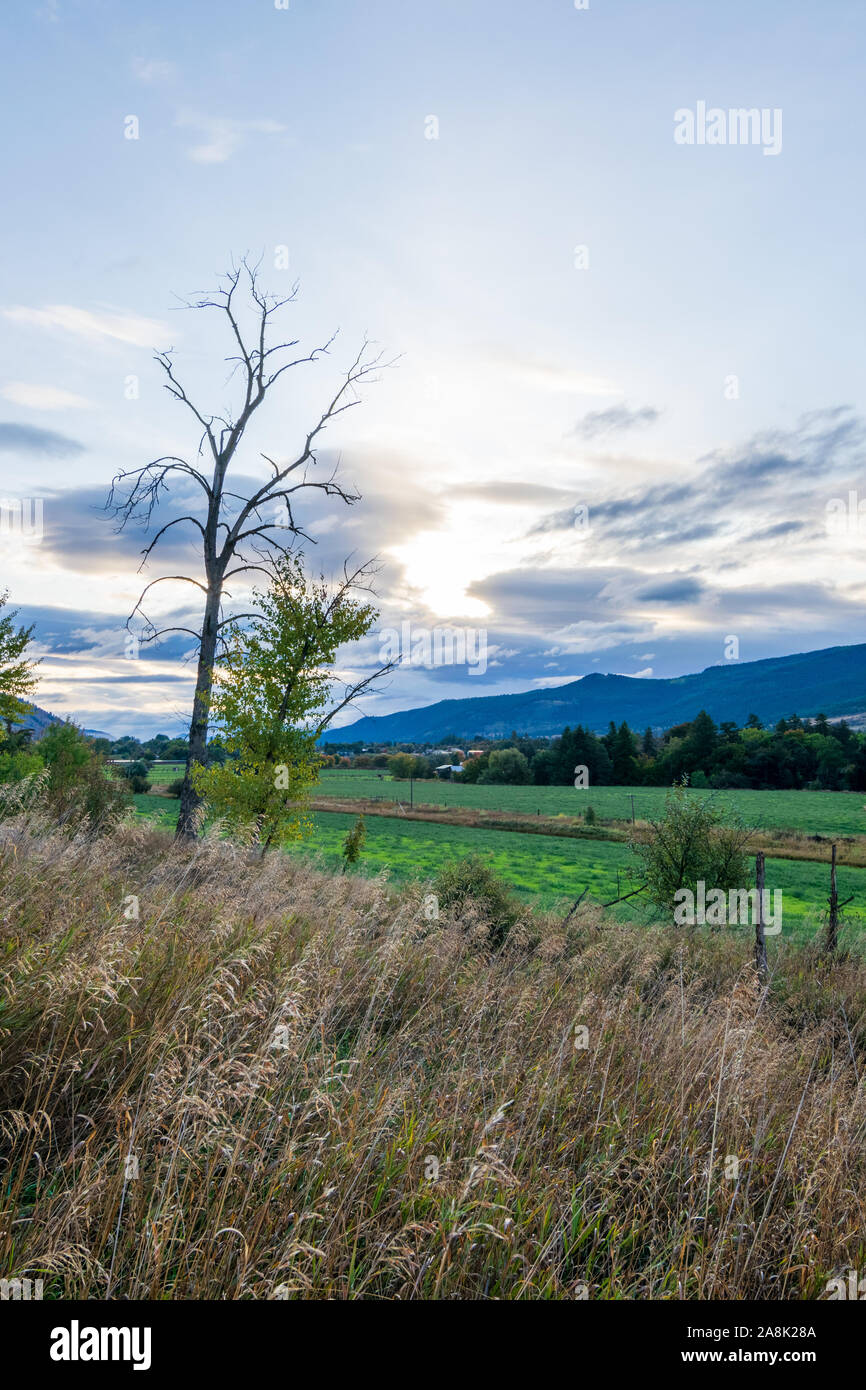 Coldstream british columbia hi-res stock photography and images - Alamy