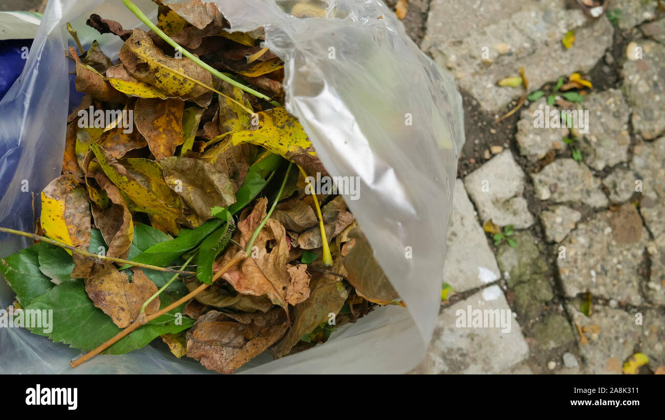 Plastic trash bags filled with autumn tree leaves Stock Photo - Alamy