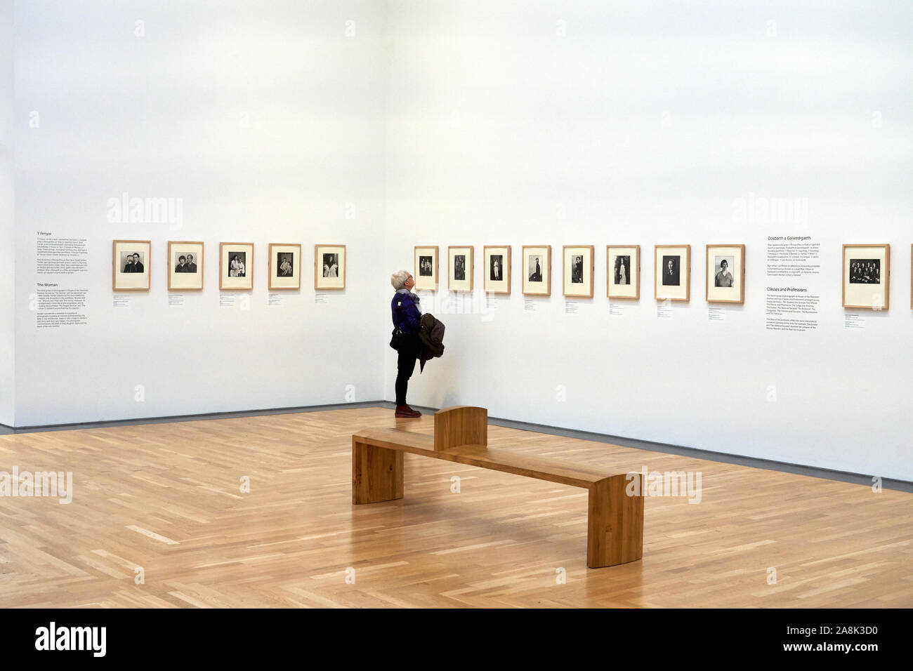 Cardiff national museum art gallery hi-res stock photography and images ...