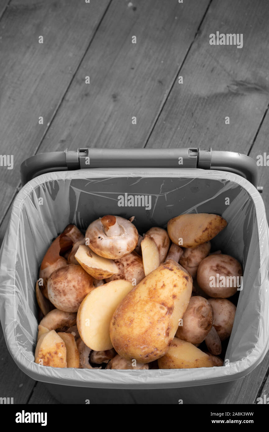 Food waste recycling bin container with rotten vegetables inside. Food ...