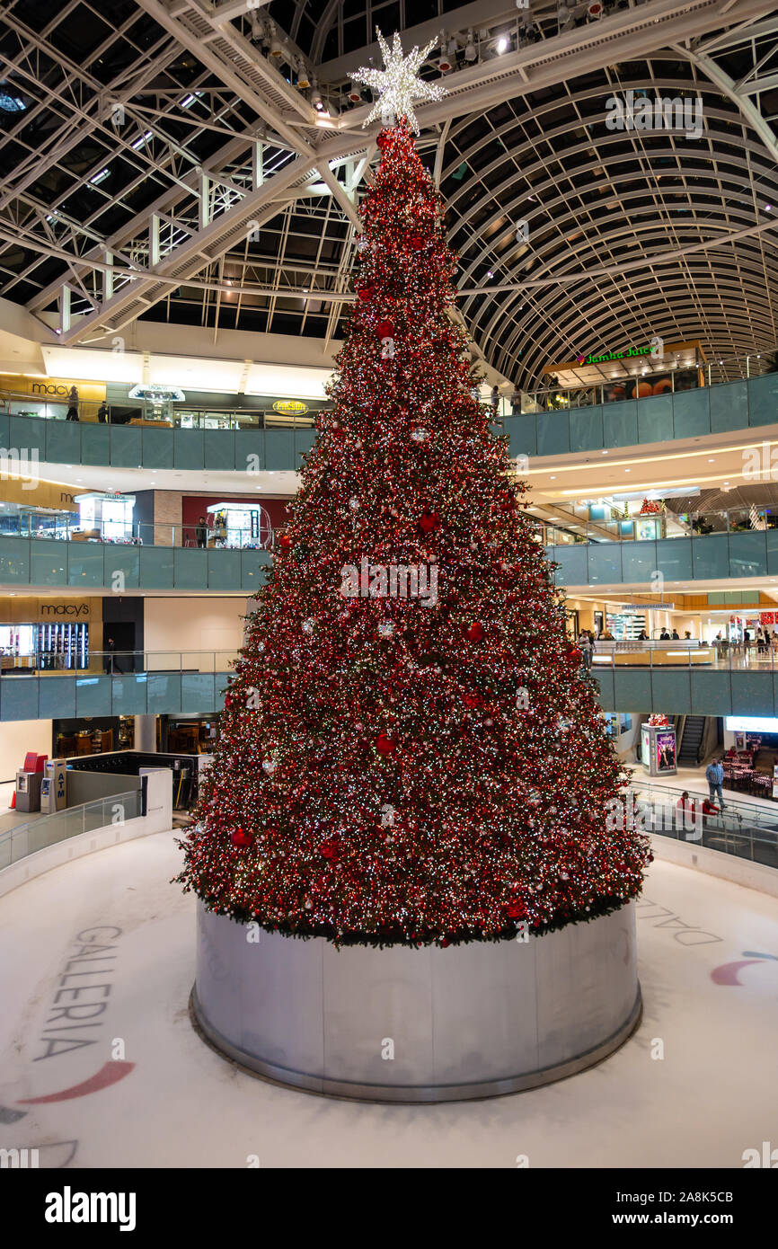 Massive christmas tree hi-res stock photography and images - Alamy
