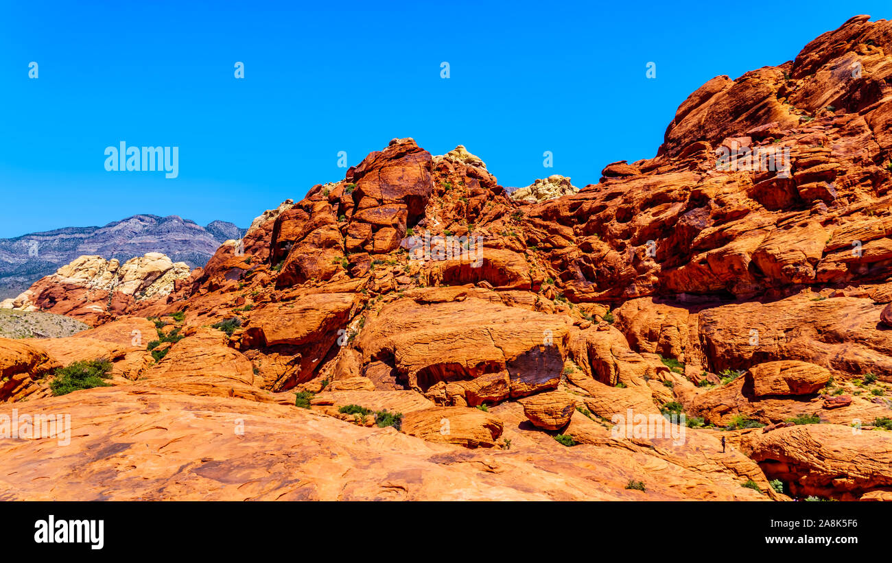 The Red and Yellow Sandstone Cliffs along the Calico Hiking Trail in ...