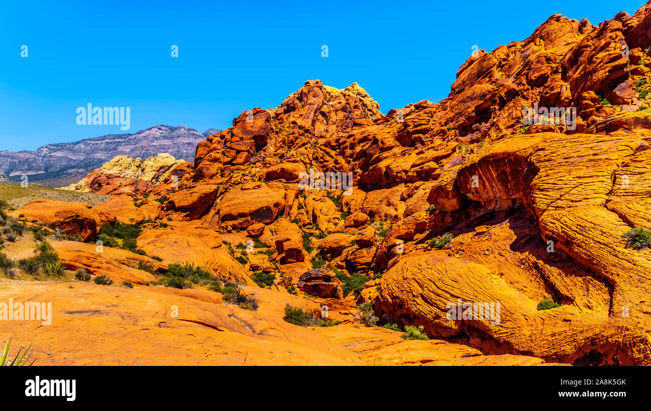 The Red and Yellow Sandstone Cliffs along the Calico Hiking Trail in ...