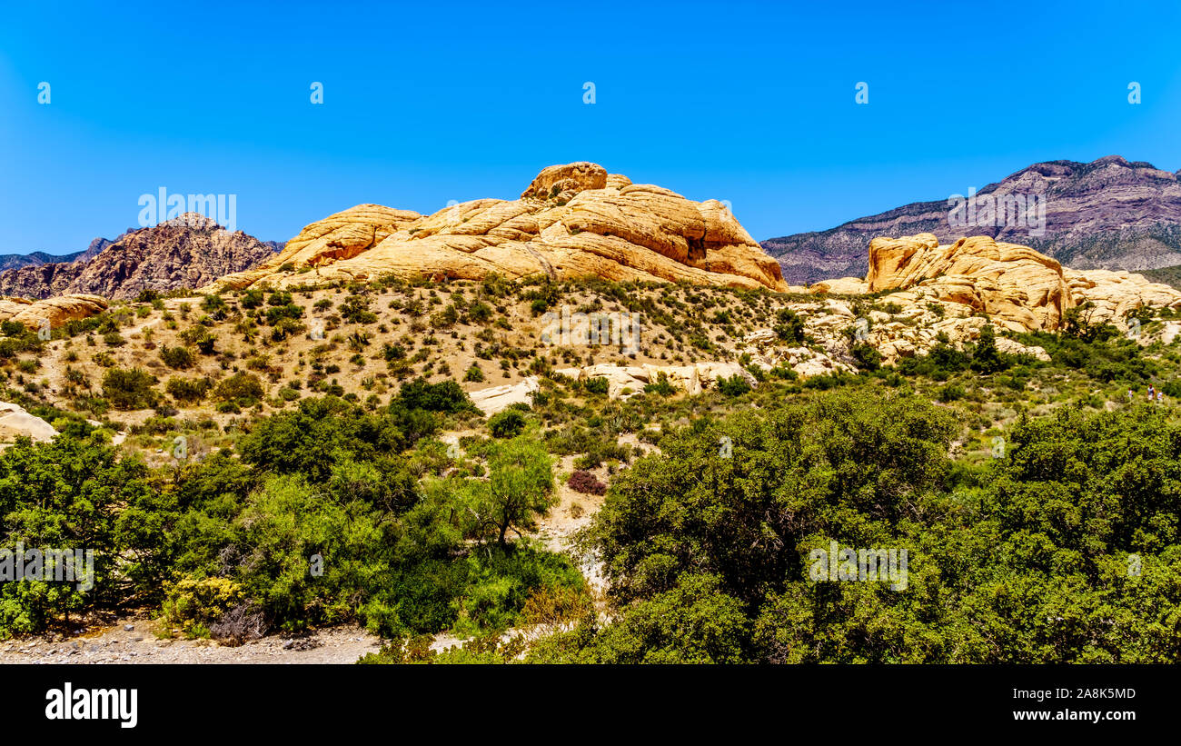 The Yellow Sandstone Cliffs on the Sandstone Quarry Trail in Red Rock ...