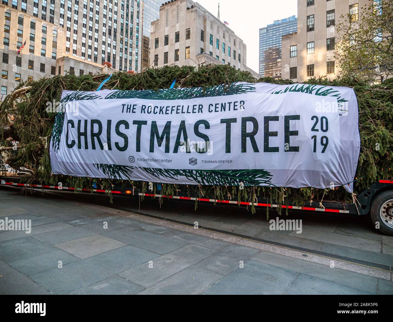 70 foot tall tree hi-res stock photography and images - Alamy