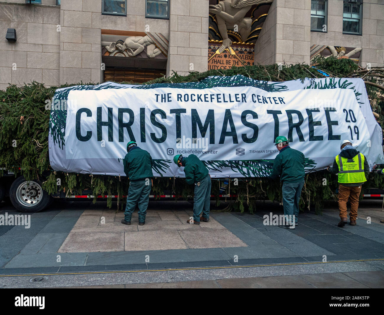 70 foot tall tree hi-res stock photography and images - Alamy