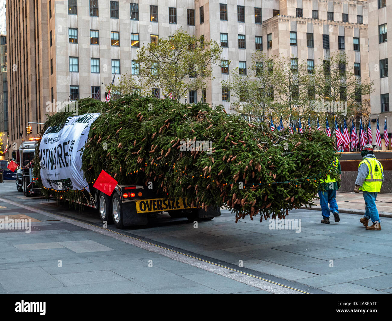 70 foot tall tree hi-res stock photography and images - Alamy