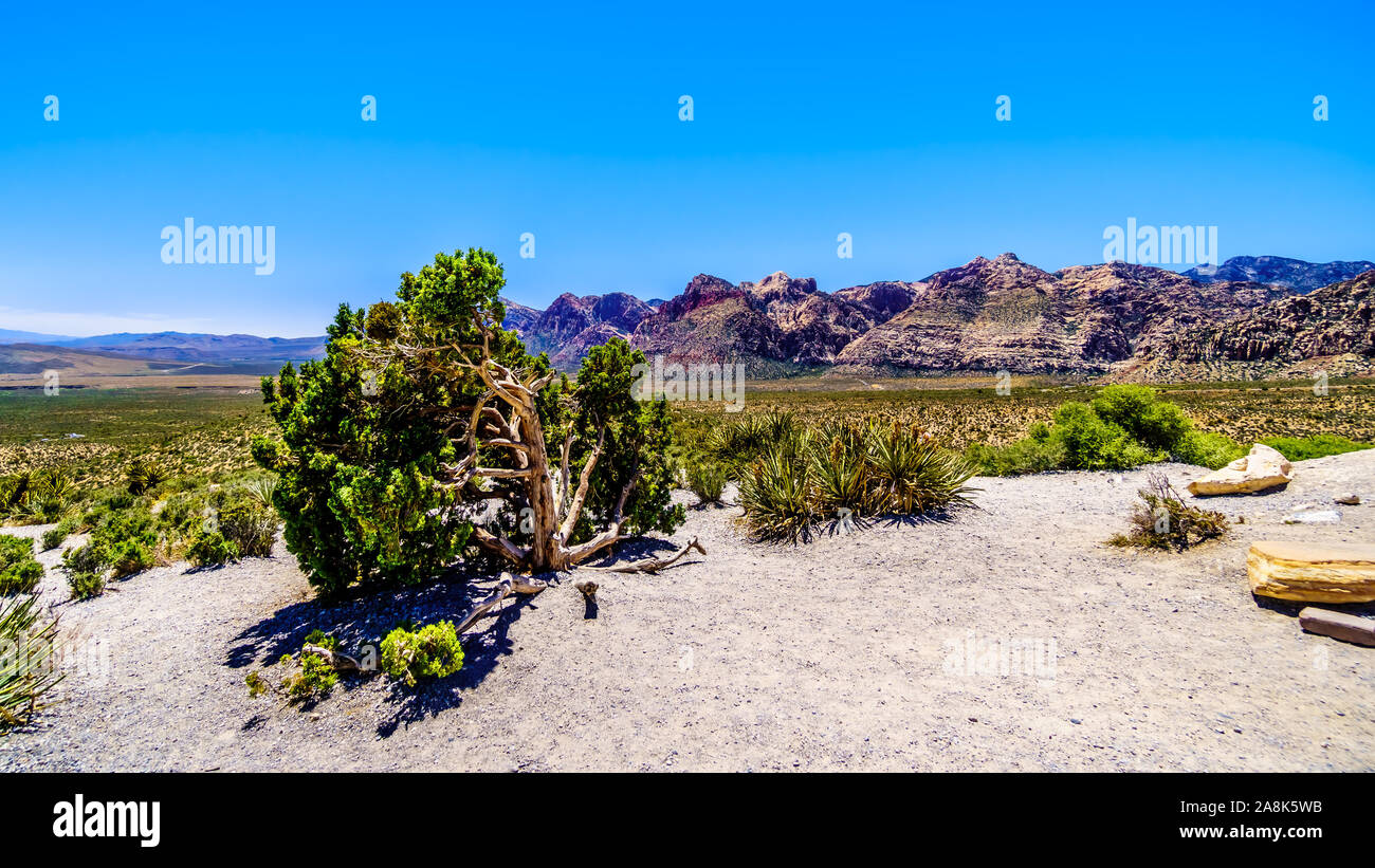 Landscape view of White Rock Hills and Wilson Ridge mountains from Red ...