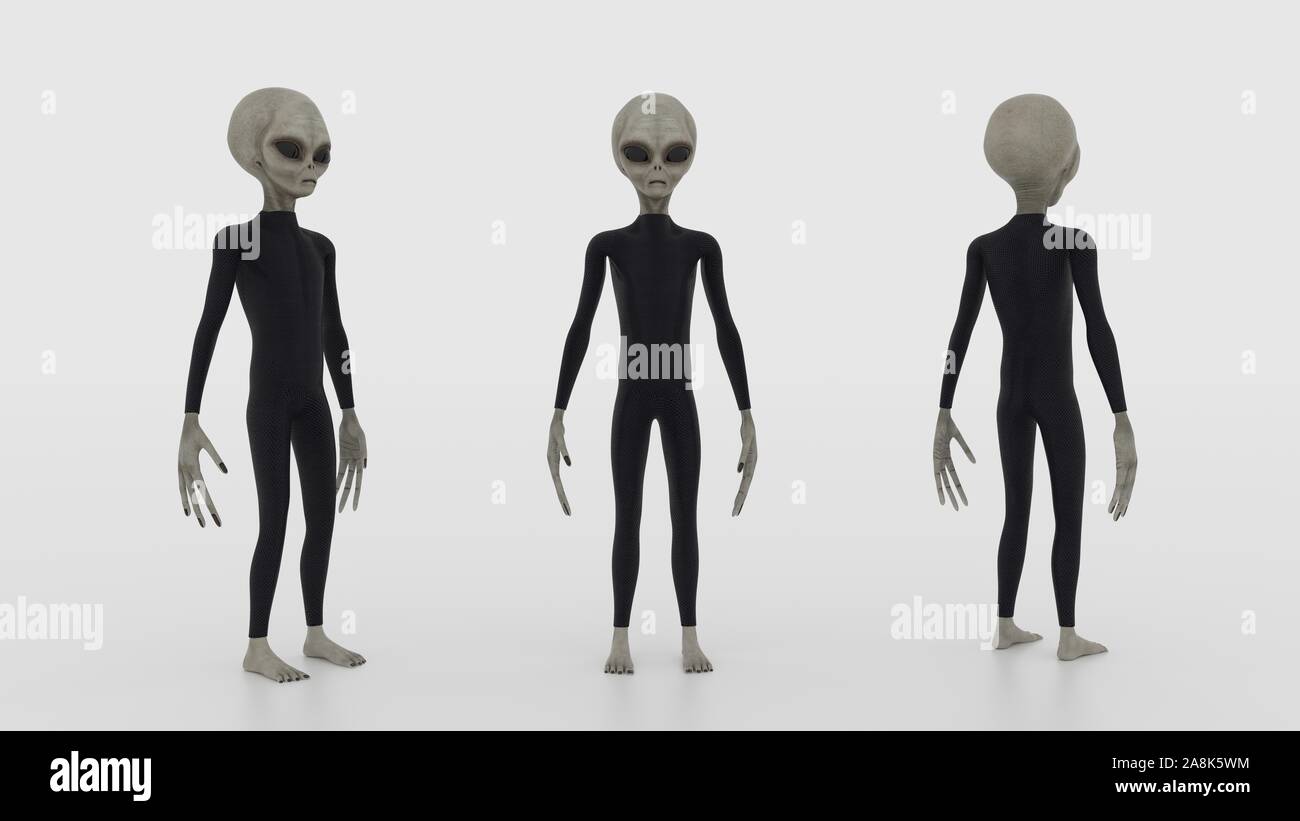 Alien Grey Front Side and Back perspective extremely detailed and ...
