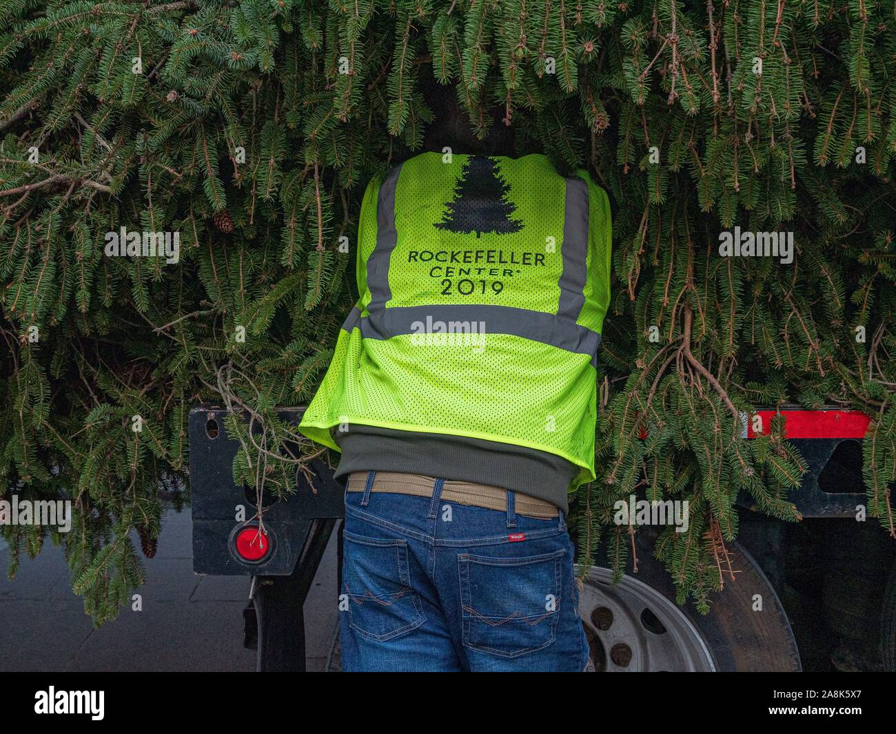 70 foot tall tree hi-res stock photography and images - Alamy