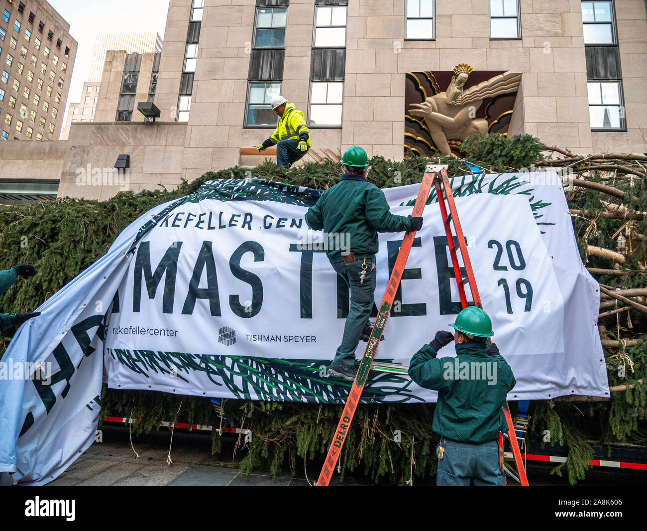 70 foot tall tree hi-res stock photography and images - Alamy