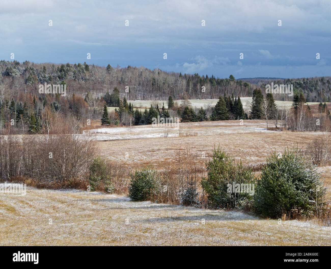 Dusting of snow hi-res stock photography and images - Alamy