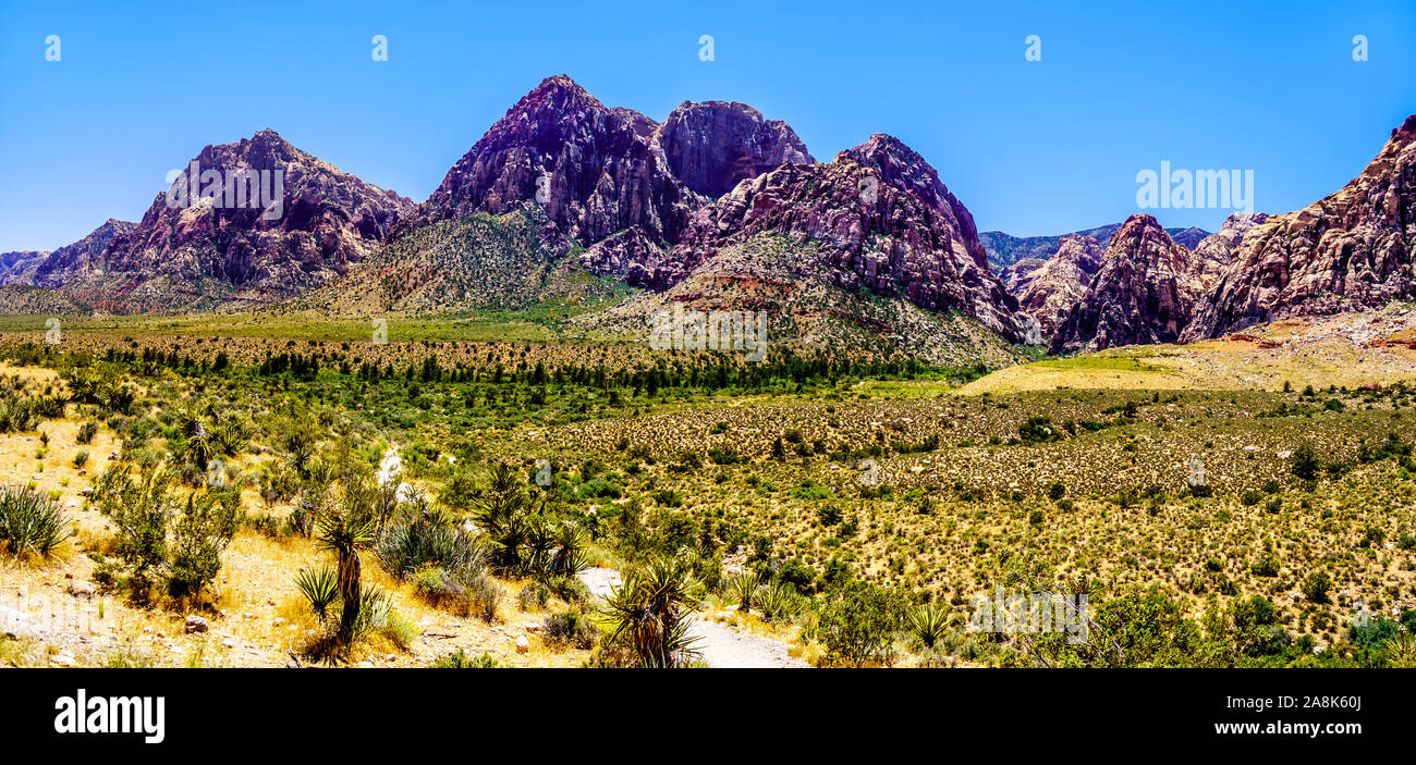 Landscape view of White Rock Hills and Wilson Ridge mountains from Red ...