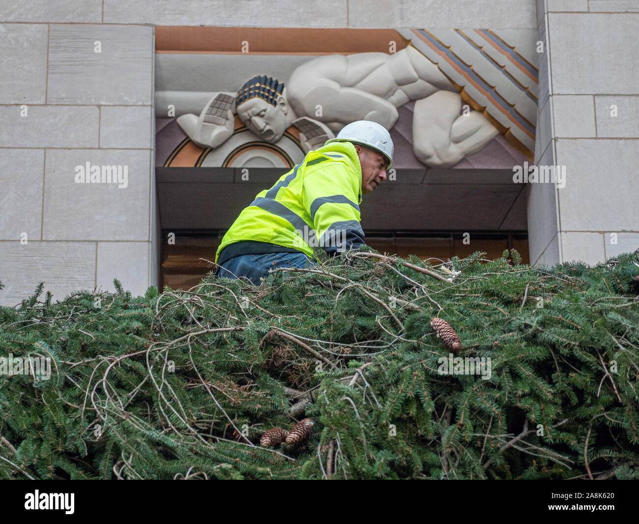 70 foot tall tree hi-res stock photography and images - Alamy