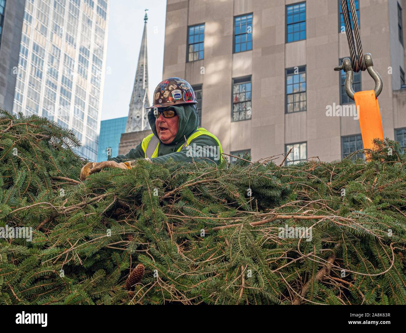 70 foot tall tree hi-res stock photography and images - Alamy