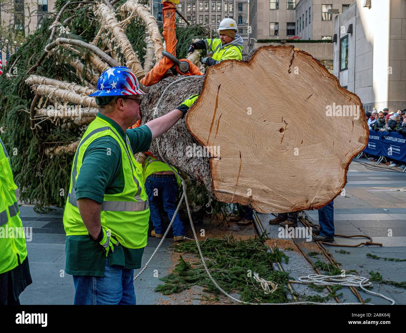 New York, USA. 9th Nov, 2019. 77 foot tall Norway Spruce arrived by ...