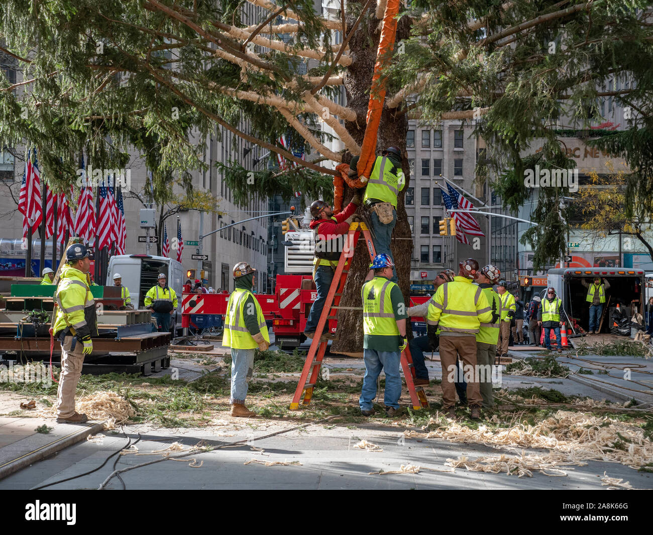 70 foot tall tree hi-res stock photography and images - Alamy