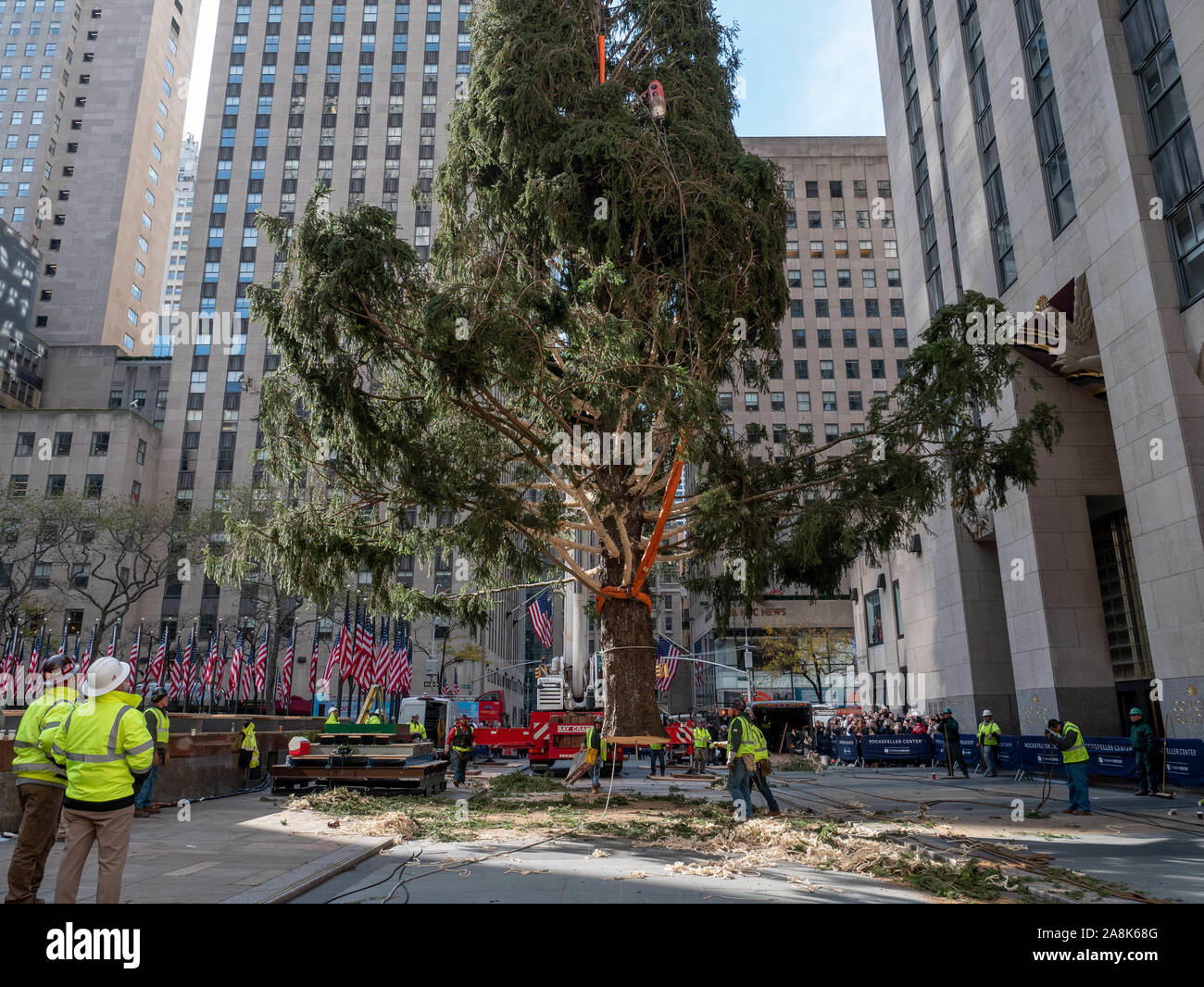 70 foot tall tree hi-res stock photography and images - Alamy