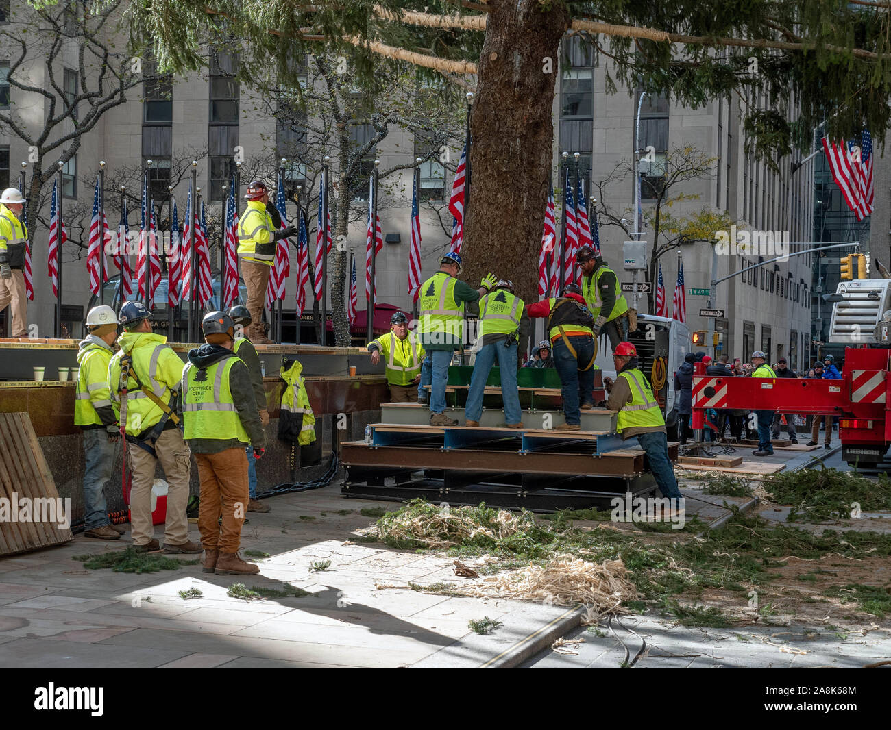 70 foot tall tree hi-res stock photography and images - Alamy