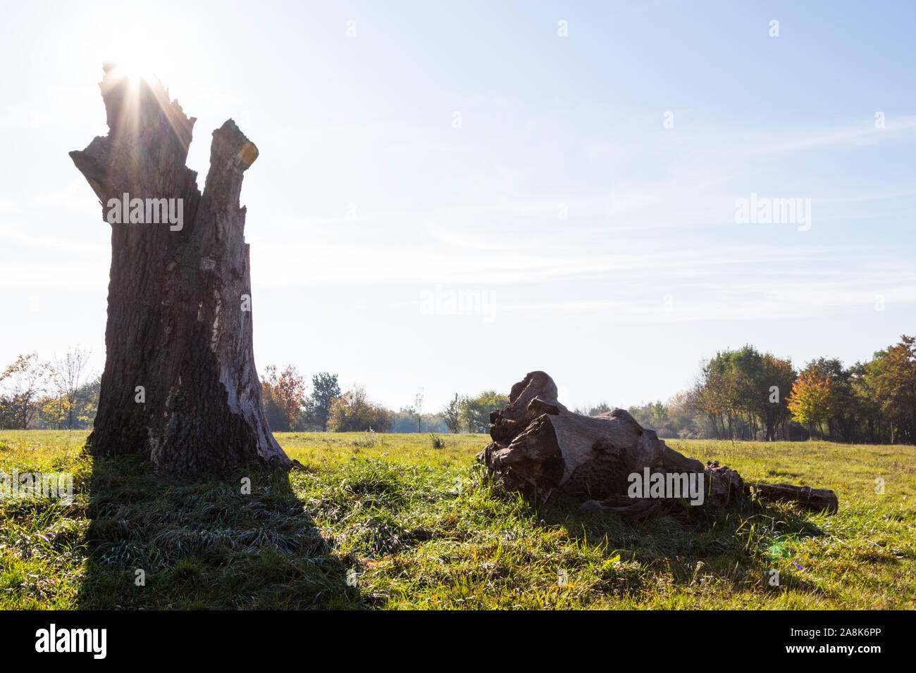 Fallow meadow hi-res stock photography and images - Alamy