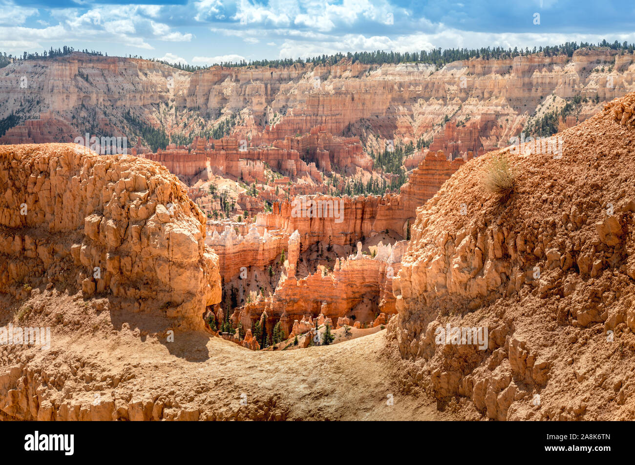 Amphitheater at Bryce Canyon, Utah USA Stock Photo - Alamy