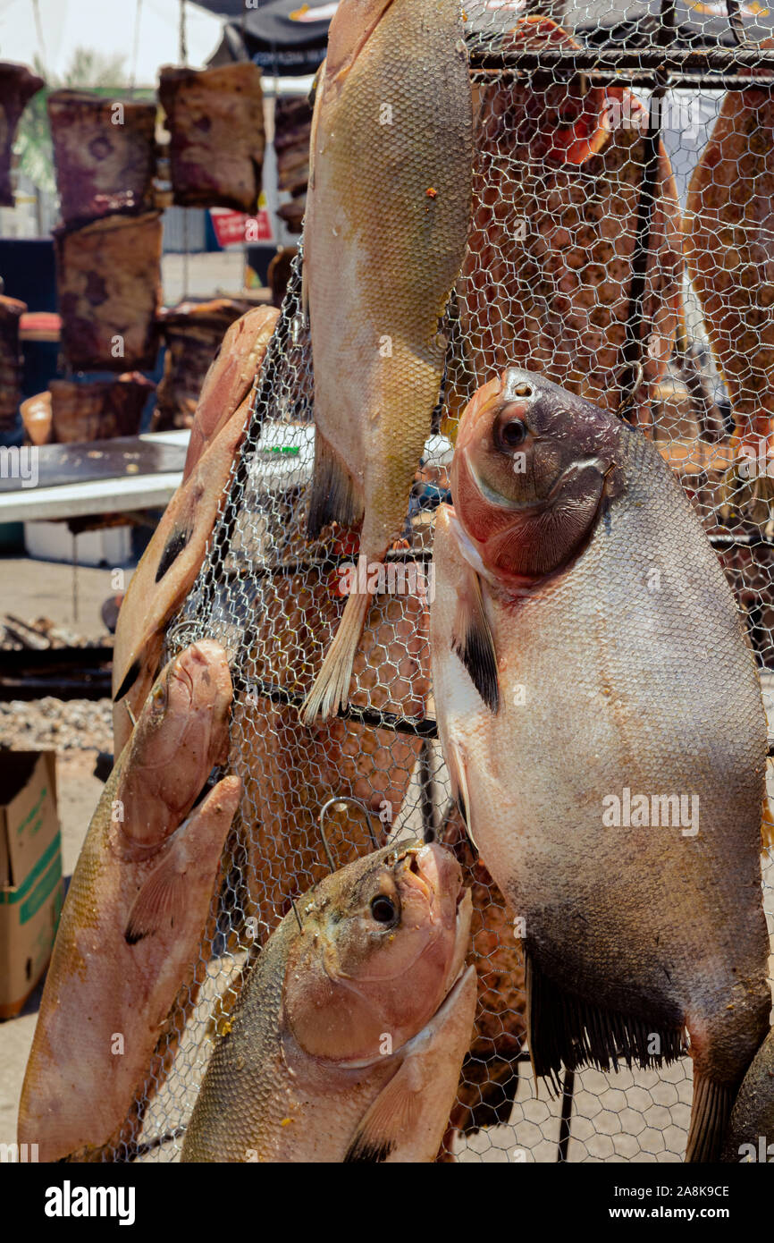 an iron net of fish grilling in the sun and charcoal Stock Photo - Alamy