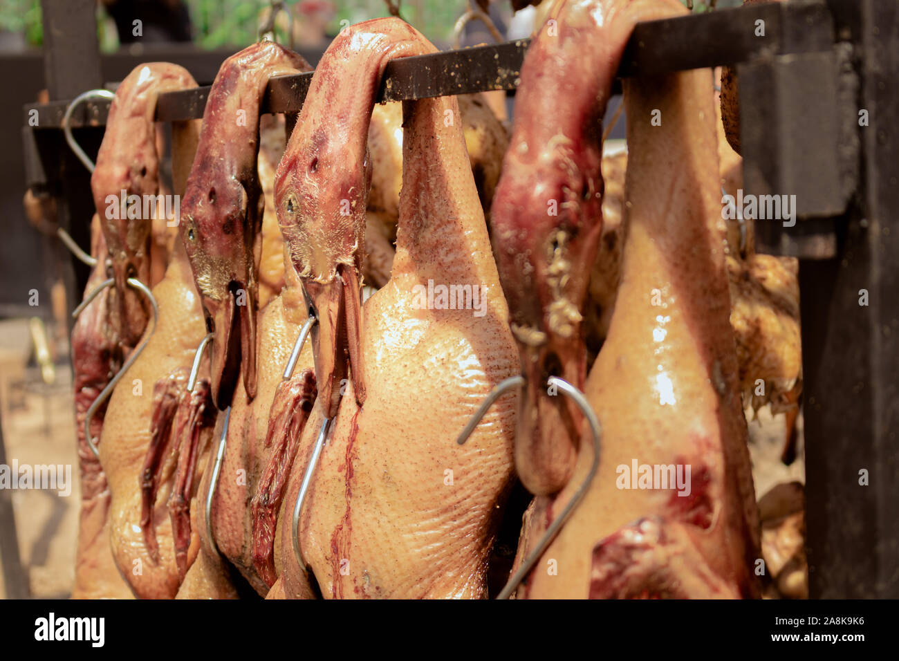 Fire ducks hi-res stock photography and images - Alamy