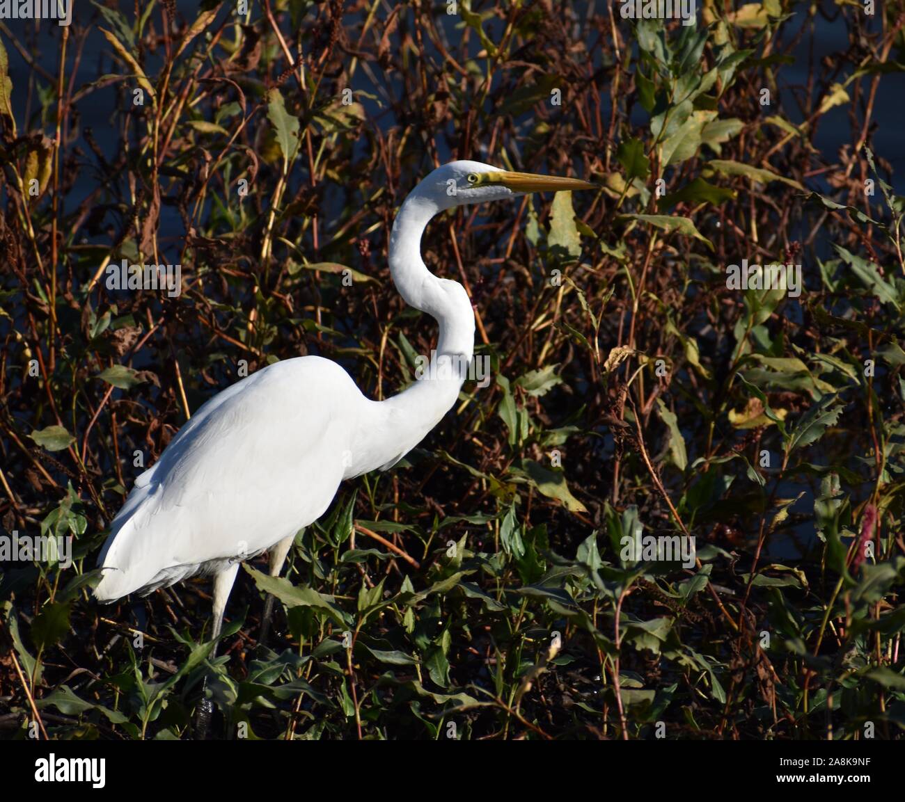 Struve slough hi-res stock photography and images - Alamy