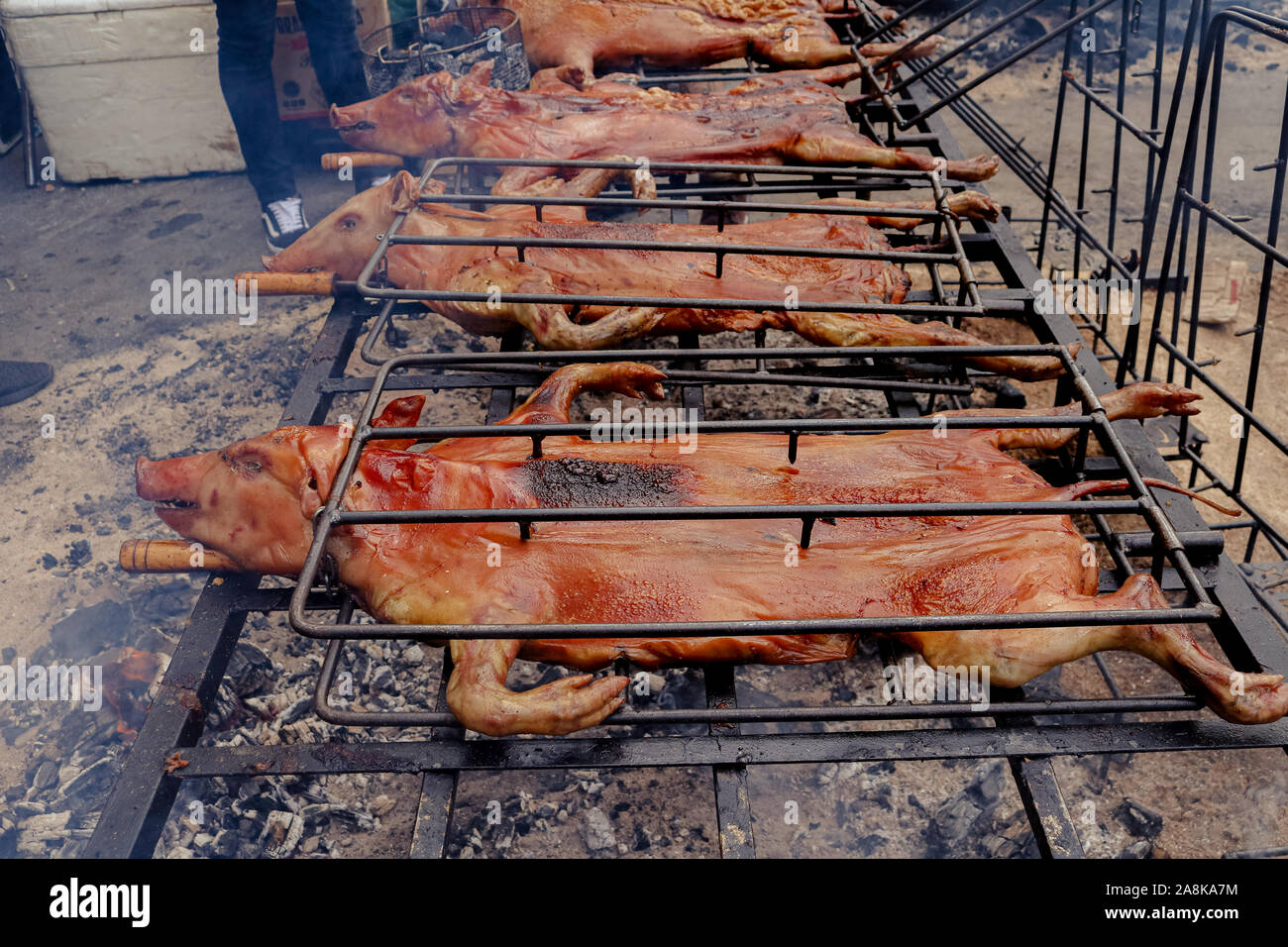 a grill with an entire pig in the ground getting grilled in the sun ...