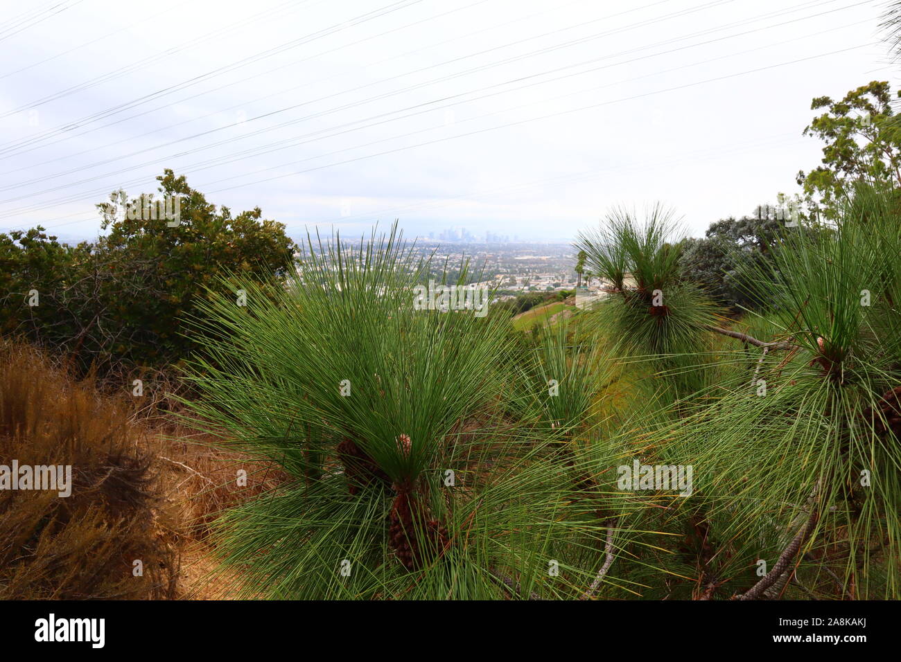 Detail view of KENNETH HAHN STATE RECREATION AREA. A State Park unit of ...